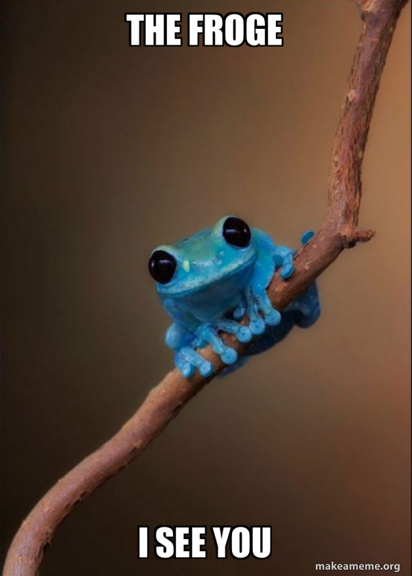 THE Froge i See you - Small Fact Frog Meme Generator