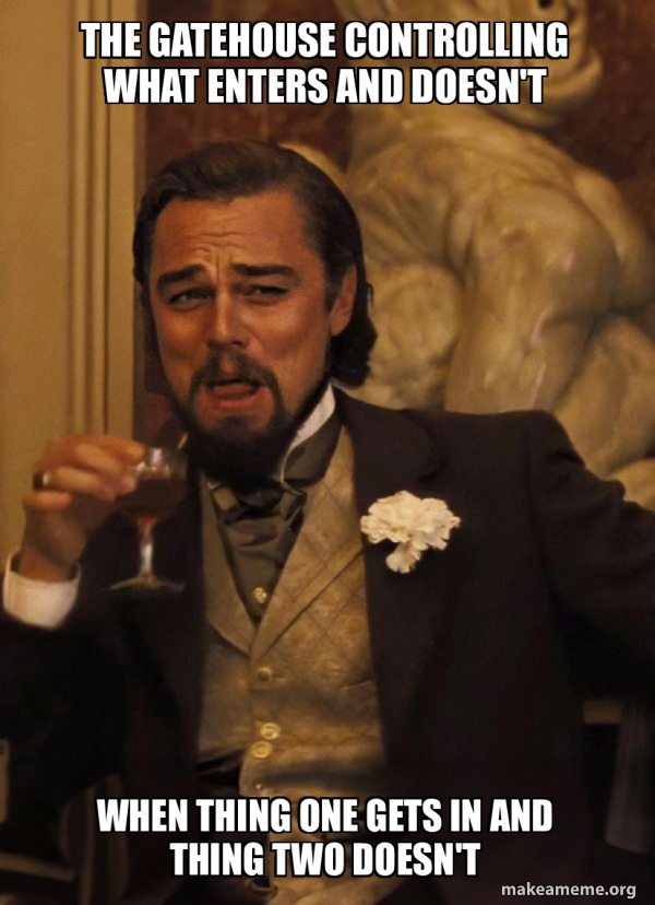 the gatehouse controlling what enters and doesn't when thing one gets ...