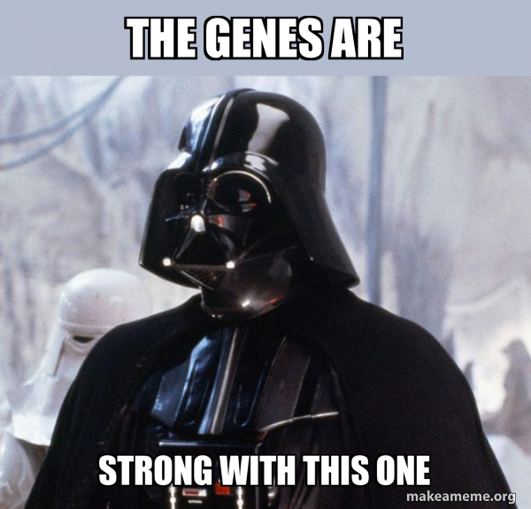 The Genes are STRONG WITH THIS ONE - Darth Vader Meme Generator