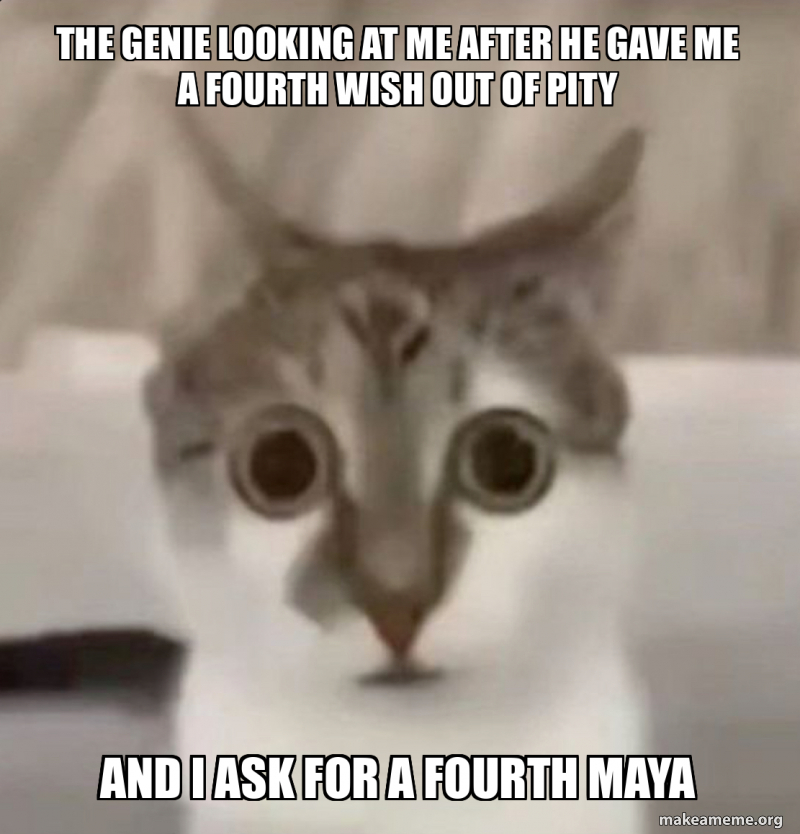 The genie looking at me after he gave me a fourth wish out of pity And ...