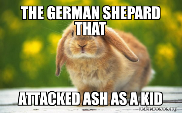 The German Shepard that attacked Ash as a kid - Regretful Rabbit Meme ...