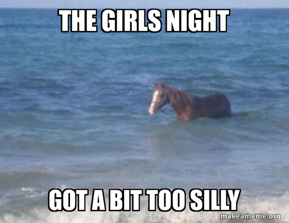 The girls night Got a bit too silly Meme Generator