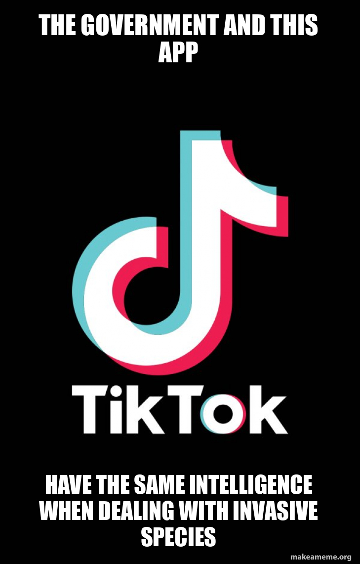 The government and this app have the same intelligence when dealing ...