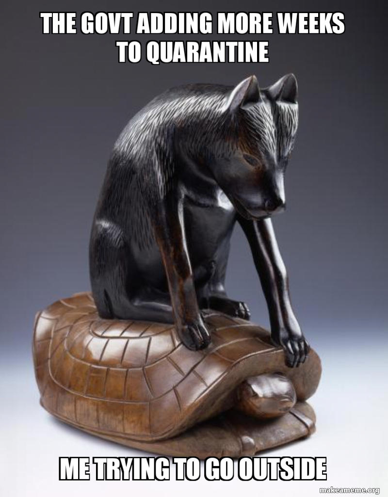 THe govt adding more weeks to quarantine Me trying to go outside Meme ...