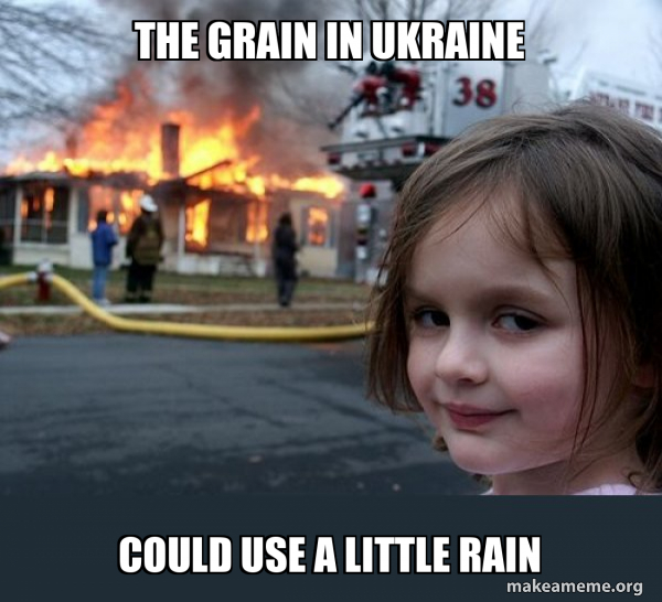 the grain in ukraine could use a little rain - Disaster Girl Meme Generator