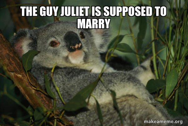 The guy Juliet is supposed to marry - Laid Back Koala Meme Generator