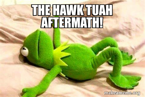 The hawk tuah aftermath! Meme Generator