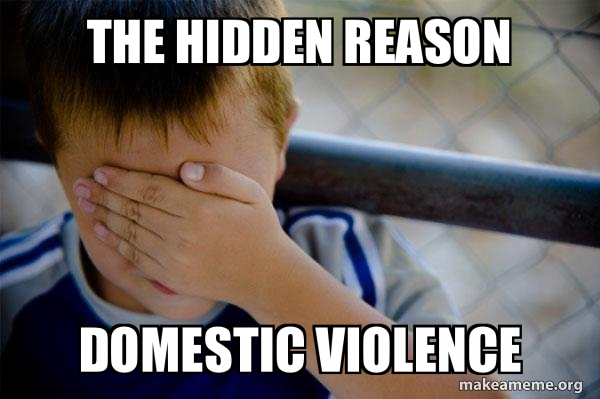 THE HIDDEN REASON DOMESTIC VIOLENCE - Confession Kid Meme Generator