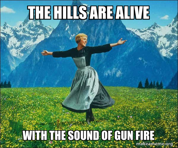 the hills are alive with the sound of gun fire - Sound of Music Meme ...