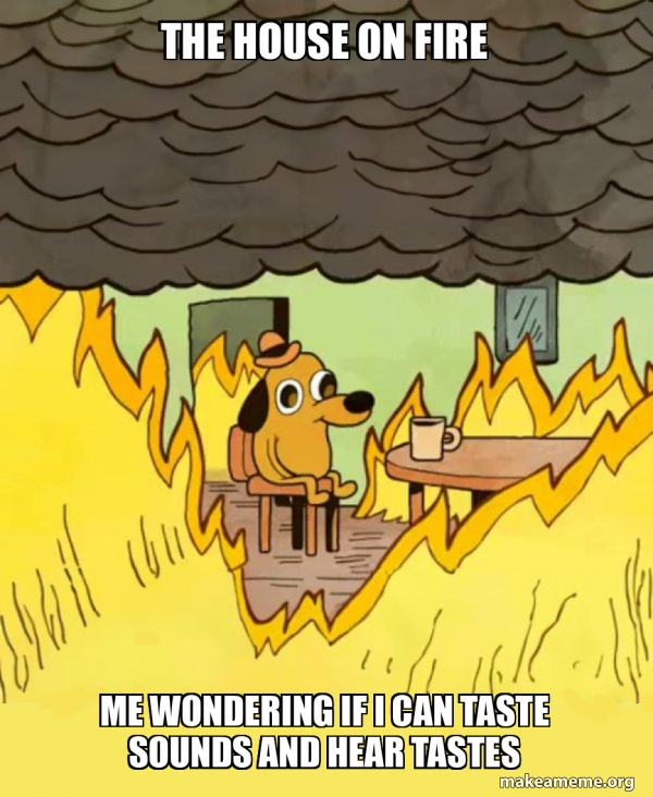 The house on fire Me Wondering if I can taste sounds and hear tastes ...