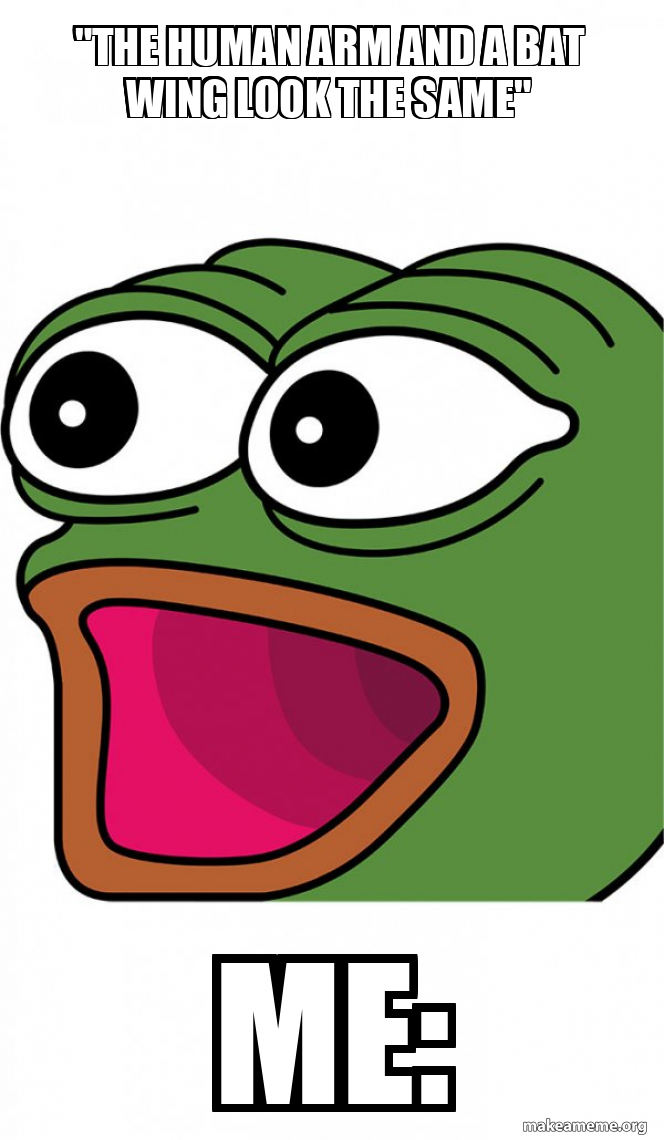 "The human arm and a bat wing look the same" Me: - Poggers Meme Generator