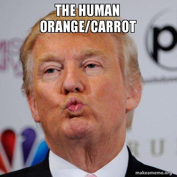 the human orange/carrot - Donald Trump Kissing Meme Generator