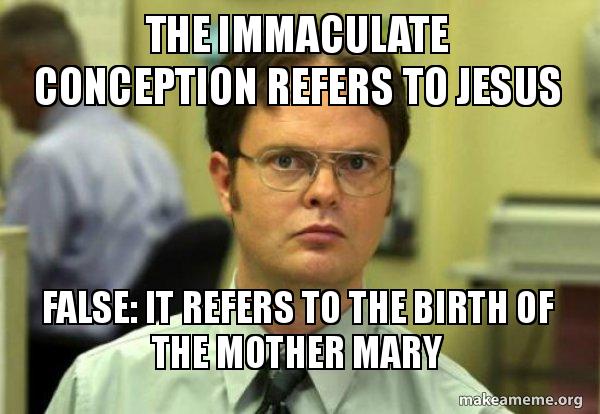The Immaculate Conception refers to Jesus False: it refers to the birth ...