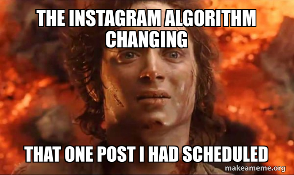 The instagram algorithm changing That one post I had scheduled - Frodo ...