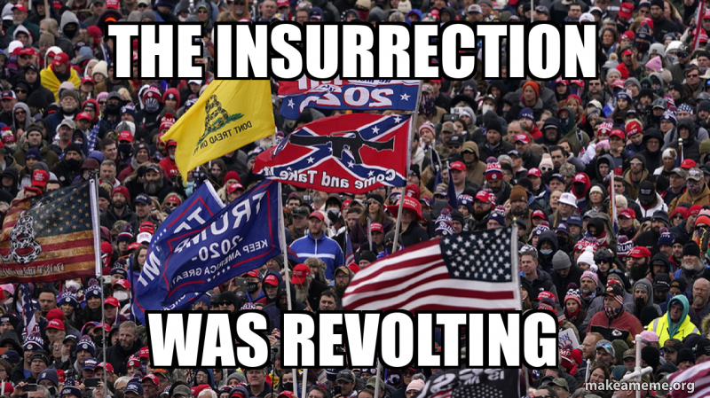 the insurrection was revolting Meme Generator