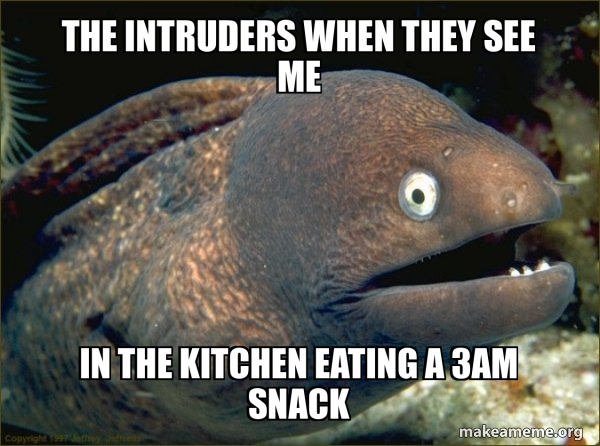 the intruders when they see me in the kitchen eating a 3AM snack - Bad ...