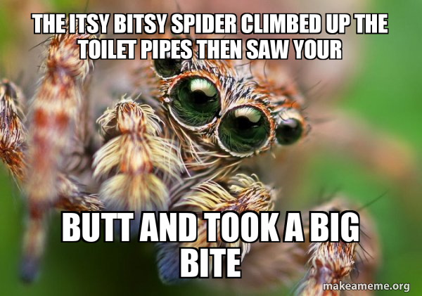 the itsy bitsy spider climbed up the toilet pipes then saw your butt ...