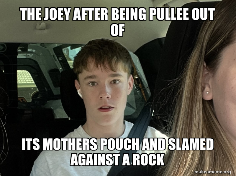 The joey after being pullee out of Its mothers pouch and slamed against ...