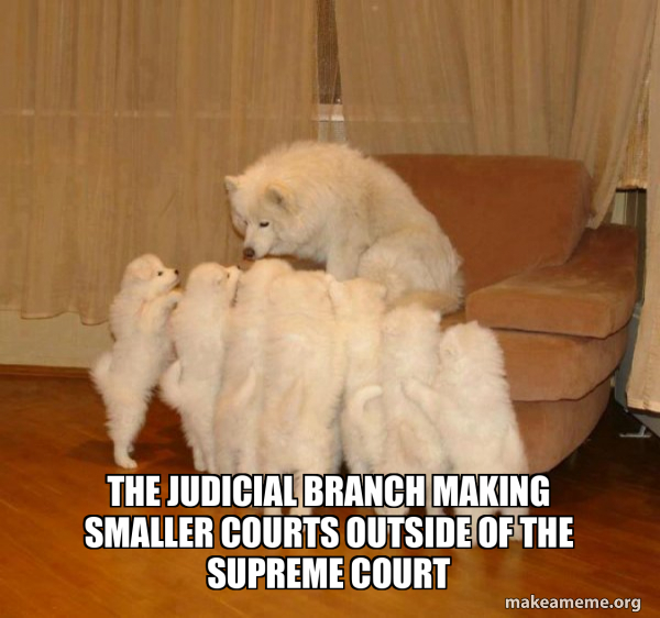The Judicial Branch making smaller courts outside of the supreme court ...