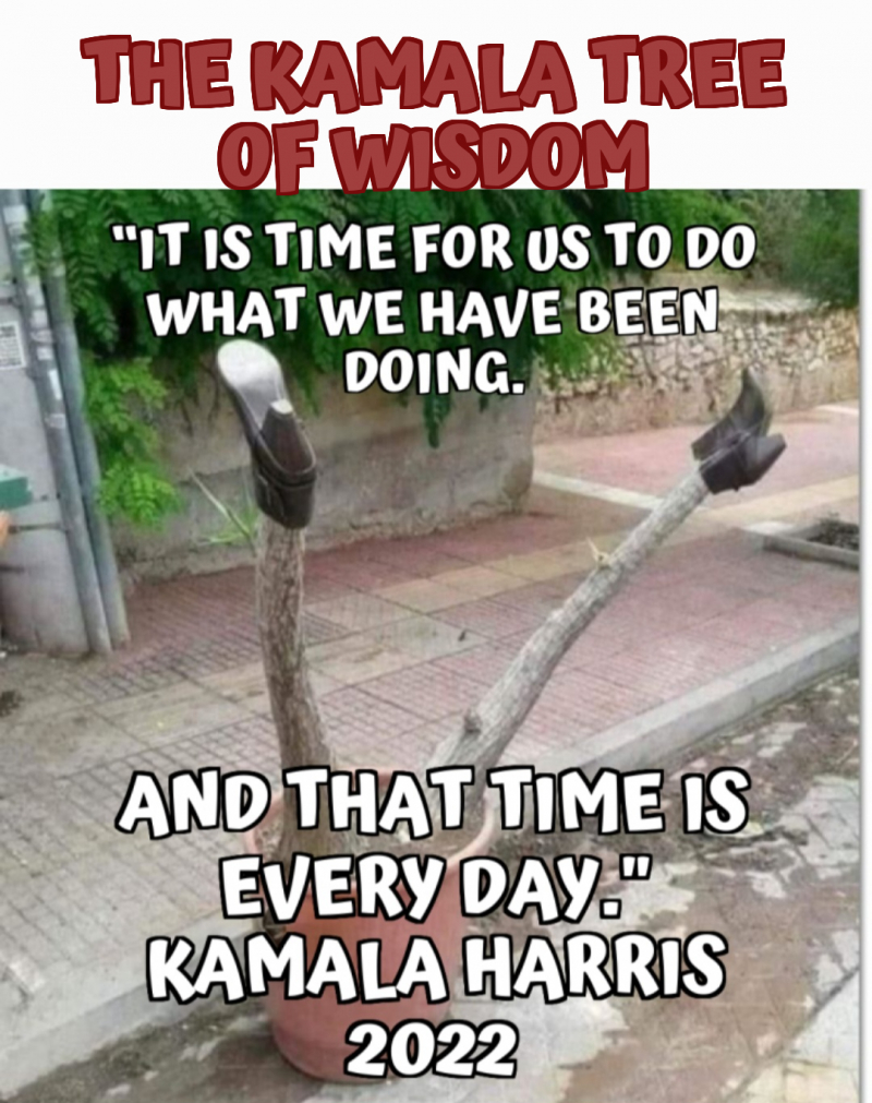 The kamala tree of wisdom Meme Generator