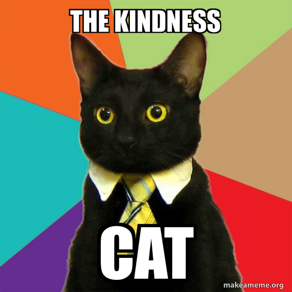 the KINDNESS cat - Business Cat | Make a Meme
