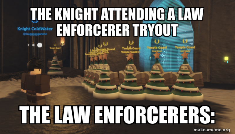 The knight attending a law enforcerer tryout the law enforcerers: Meme ...