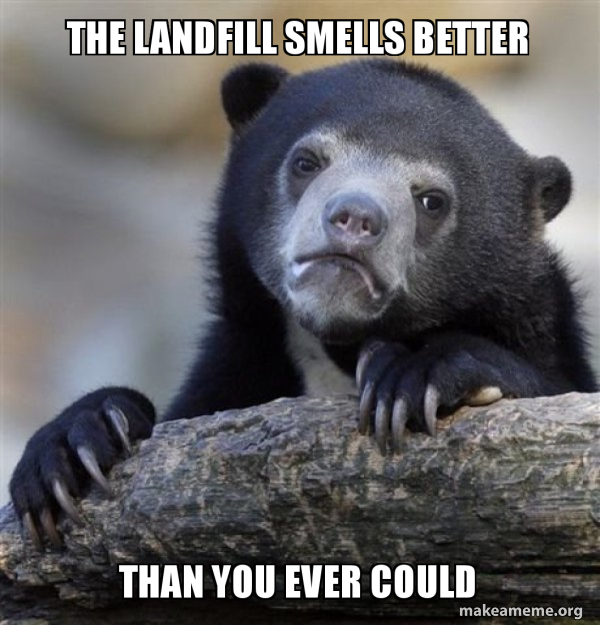 The landfill smells better than you ever could - Confession Bear Meme ...