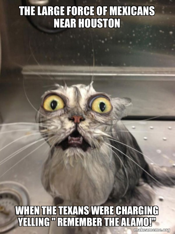 The large force of Mexicans near Houston when the Texans were charging ...