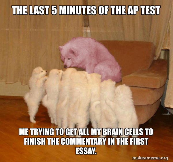 The last 5 minutes of the Ap test Me trying to get all my brain cells ...