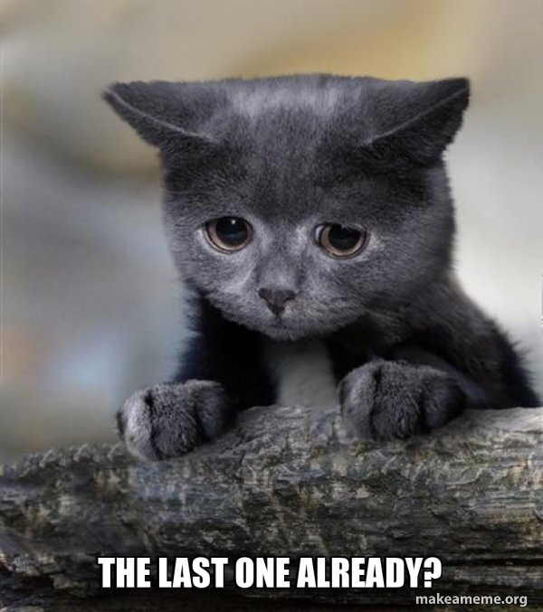 the last one already? - Confession Cat Meme Generator