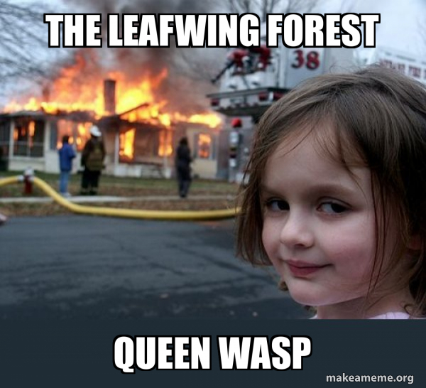 the leafwing forest queen wasp - Disaster Girl Meme Generator