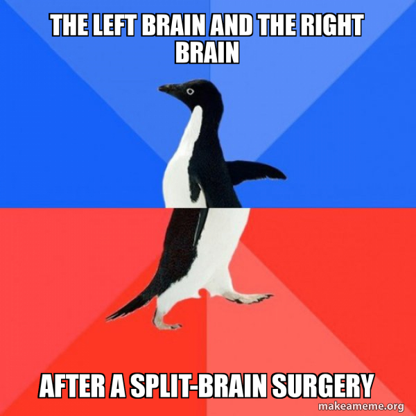 Left Brain Memes