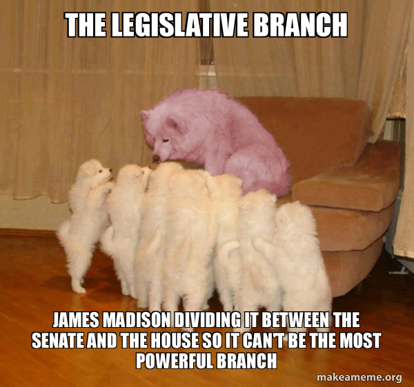 The Legislative Branch James Madison dividing it between the Senate and ...