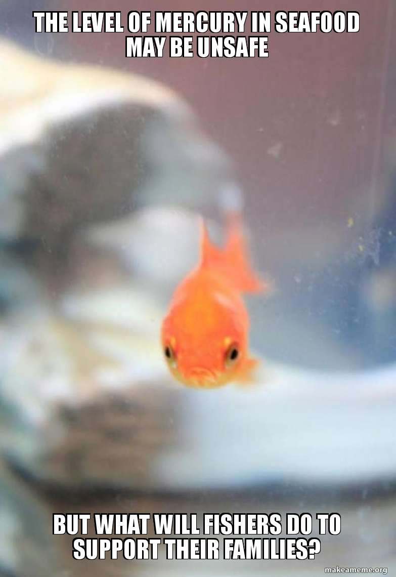 The level of mercury in seafood may be unsafe but what will fishers do ...
