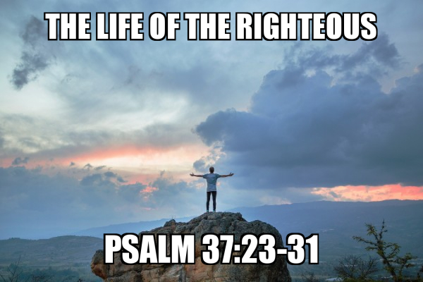 the life of the righteous psalm 37:23-31 Meme Generator