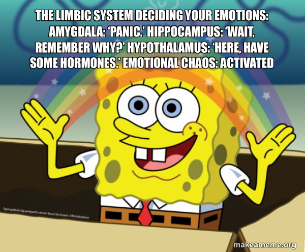 The limbic system deciding your emotions: Amygdala: ‘PANIC ...