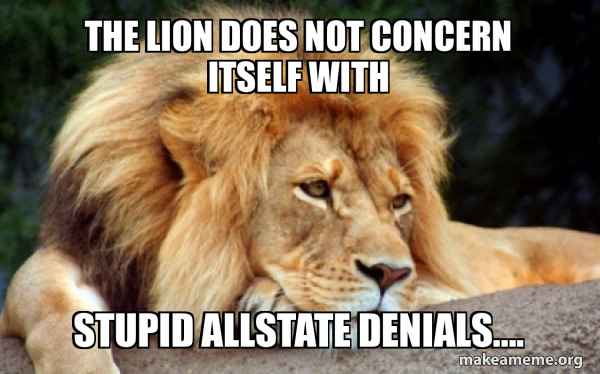 The lion does not concern itself with stupid Allstate denials ...