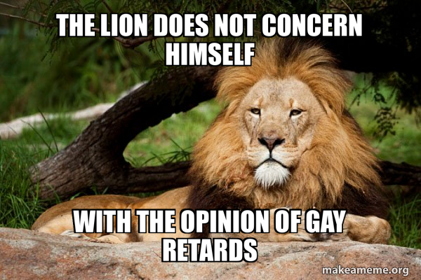 the lion does not concern himself with the opinion of gay retards ...