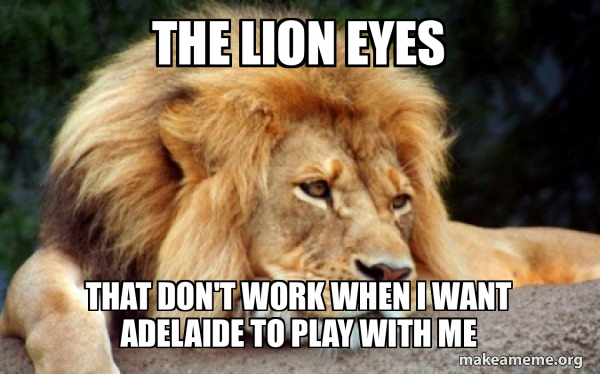 The lion eyes that don't work when i want adelaide to play with me ...