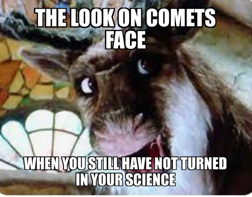 The look on Comets FAce When you still have not turned in your science ...
