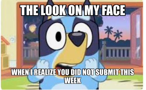The look on my face When I realize you did not submit this week Meme ...