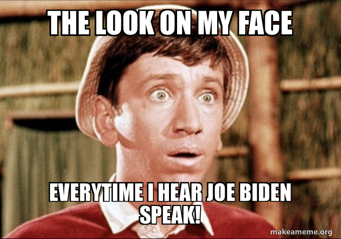 The look on my face everytime I hear Joe Biden Speak! - Gropin Joe Meme ...