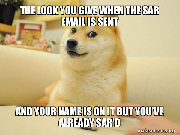 THE LOOK YOU GIVE WHEN THE SAR EMAIL IS SENT AND YOUR NAME IS ON IT BUT ...
