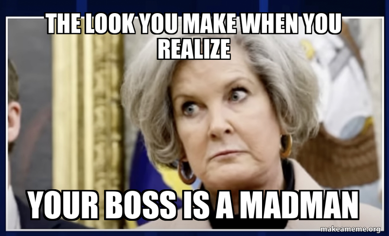 the look you make when you realize your boss is a madman Meme Generator