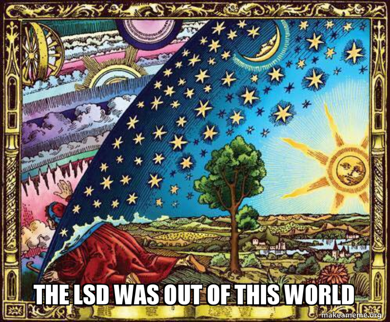 the lsd was out of this world Meme Generator