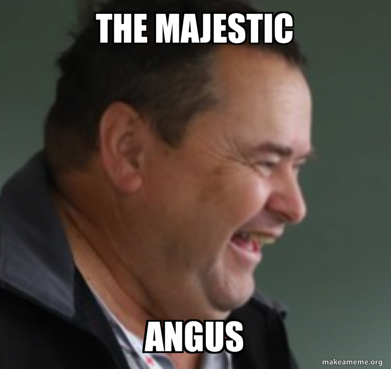The majestic Angus - The majestic Angus Meme Generator