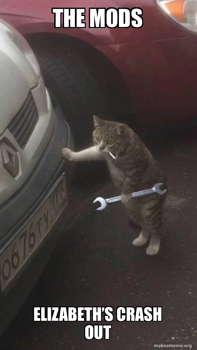 The Mods Elizabeth’s crash out - Mechanic Cat Meme Generator