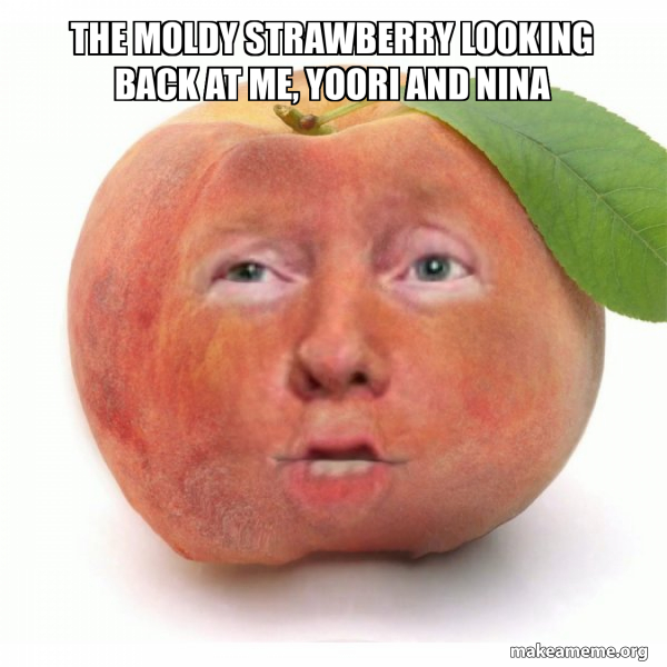 The moldy strawberry looking back at me, Yoori and Nina - Impeached ...
