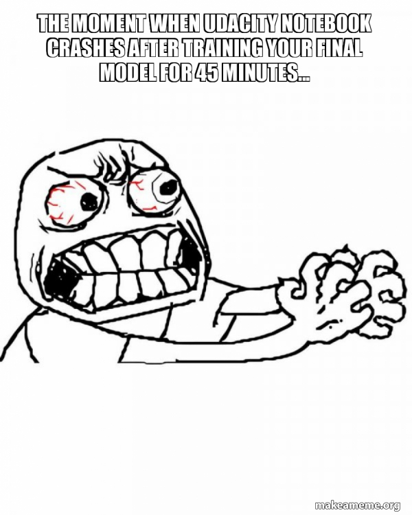 the moment when udacity notebook crashes after training your final ...