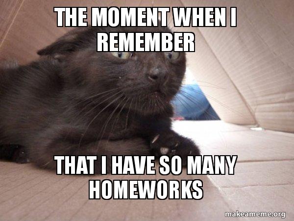 THE MOMENT WHEN I REMEMBER THAT I HAVE SO MANY HOMEWORKs - Schitzo Cat ...